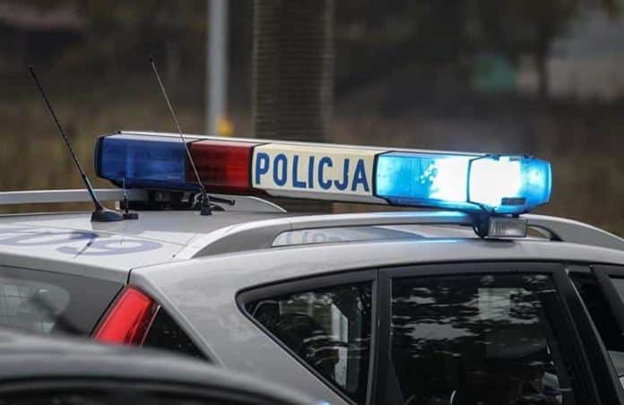 Dzik wbiegł na drogę krajową. Uderzyły w niego dwa samochody